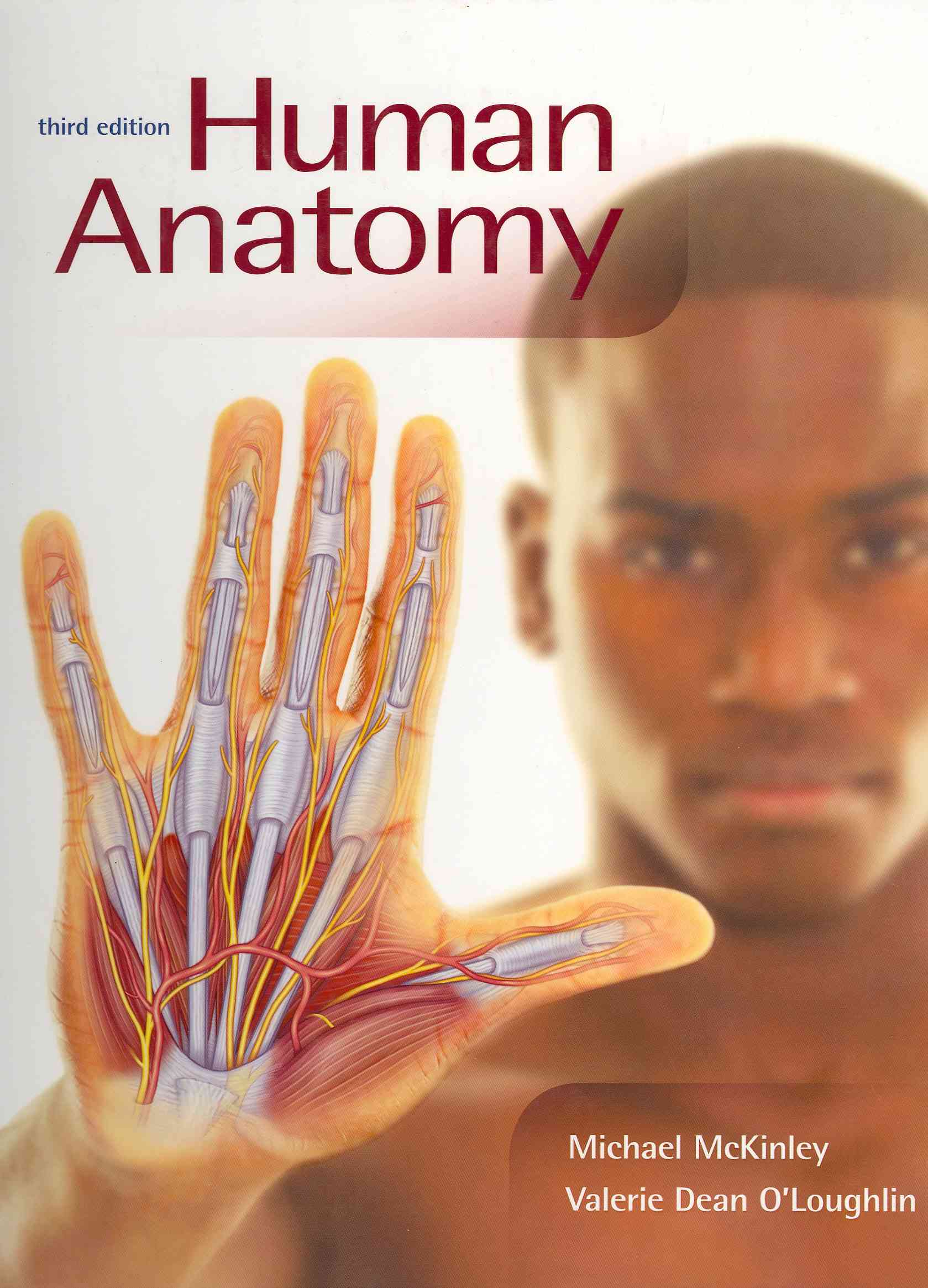 My Hobby Essay For 3rd Class Medical Certificate